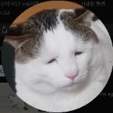 hazbin+hotel+vox+shirt - View all hazbin+hotel+vox+shirt ads in ...