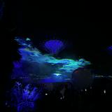 Kingson Chow's items for sale on Carousell