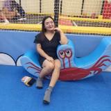 Boral Knauf Premium Jointing Compound | Boral Powder 20kg, Commercial ...