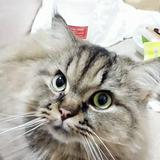 Kas Kat's items for sale on Carousell