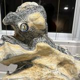 Ames Leow's items for sale on Carousell