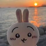 kaka gru 喺Carousell出售嘅商品