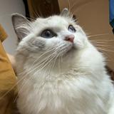 yoyo237 嘅 Carousell 個人檔案頁｜yoyo237 所出售嘅所有商品同評價