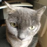 Morgan Liot's items for sale on Carousell