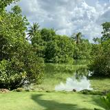 Blue Sack Sakoline Laminated Sheet Sacoline Sakolin, Commercial ...