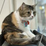 Francis Liew's items for sale on Carousell