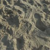 saurus’s Profile Page on Carousell | All of saurus’s Items For Sale ...