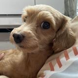 work-e - View all work-e ads in Carousell Philippines