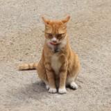 BecBec 喺Carousell出售嘅商品