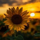 book+buyer - View all book+buyer ads in Carousell Philippines