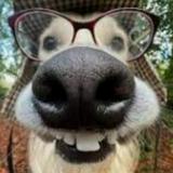 afafdsfasdf afafafa 喺Carousell出售嘅商品