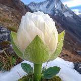 Andrew Li 喺 Carousell 嘅個人檔案頁面 | Andrew Li 嘅所有出售物品同評價