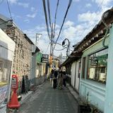 Neocaridina Shrimp, Everything Else on Carousell