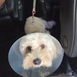 Adam Goh’s Profile Page on Carousell | All of Adam Goh’s Items For Sale ...