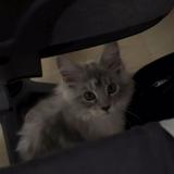 Tod10n 出售 | 樂器 | Carousell Hong Kong