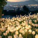 advanced+engineering+mathematics+7th+edition - View all advanced+engineering+mathematics+7th ...