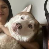 Halaman Profil Chelsea Florence di Carousell | Semua Barang Dijual ...