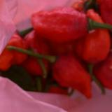 Zhanna Nnq ad !-’s Profile Page on Carousell | All of Zhanna Nnq ad ...