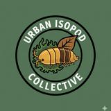 Porcellionides Pruinosus 'Powder Blue' Isopods, Pet Supplies, Pet Food ...