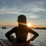 SENEPA / FASCIA BOARD (Brands: Hardie Senepa, Gardner Senepa, and ...