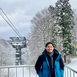 Boral Knauf Premium Jointing Compound | Boral Powder 20kg, Commercial ...