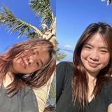 Boral Knauf Premium Jointing Compound | Boral Powder 20kg, Commercial ...