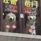 Mailing FAQ, Everything Else on Carousell