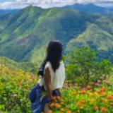 T'boli For Sale | Carousell Philippines
