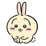 rawr’s Profile Page on Carousell | All of rawr’s Items For Sale & Reviews