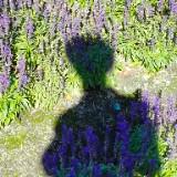 Avatar Frontiers of Pandora, Video Gaming, Video Games, PlayStation on ...