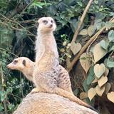 Ivan’s Profile Page on Carousell | All of Ivan’s Items For Sale & Reviews