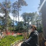 ferrie+sales - View all ferrie+sales ads in Carousell Philippines