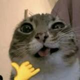 La ginger For Sale | In-Game Products | Carousell Singapore