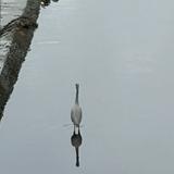 k’s Profile Page on Carousell | All of k’s Items For Sale & Reviews